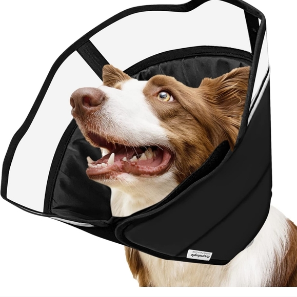 Cryptdogle | Dog | Upgraded Dog Cone Collar For After Surgery | Poshmark
